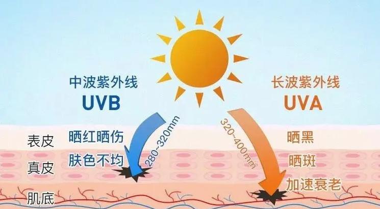 太阳光是可见光吗截图