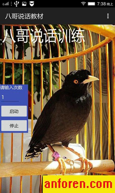 教八哥说话录音超长版截图
