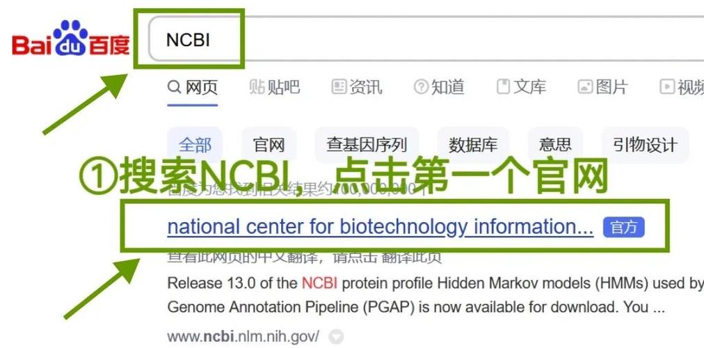 snp文件打开方式图标