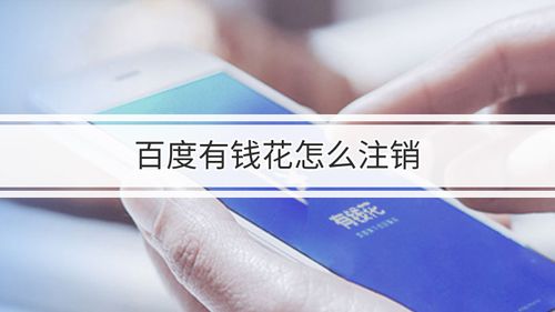 有钱花注销步骤图标