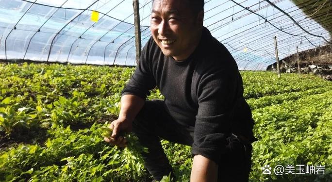 季节哥在哪里图标