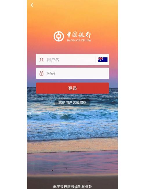 中国银行网上银行怎么注册截图