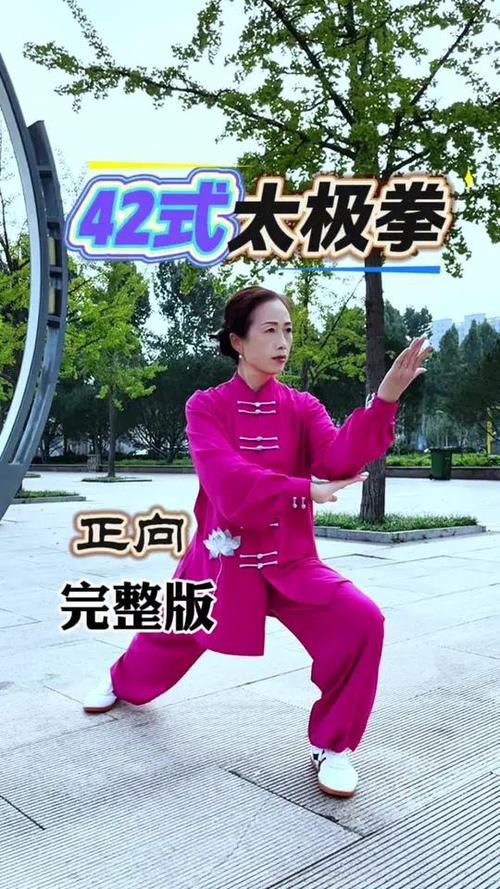 42式太极纯音乐原版