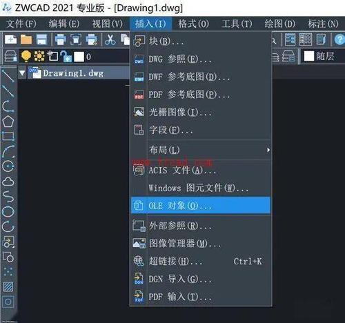 怎么把cad画的图放到word里面图标