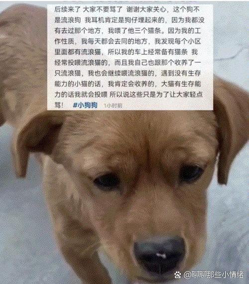 丢了一只蓝牙耳机截图