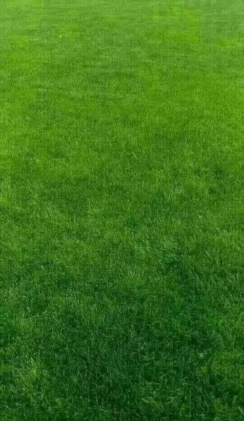 微信聊天背景图图标