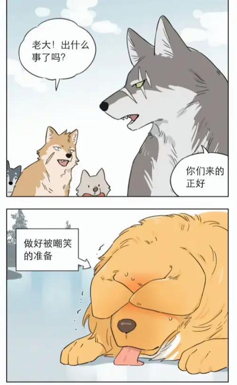 漫画狼王截图