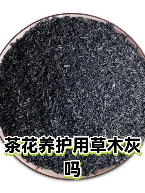 茶树花泡水喝的功效图标