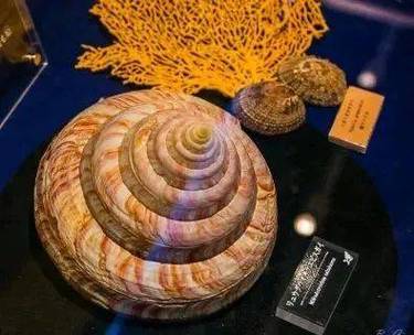 值贝截图