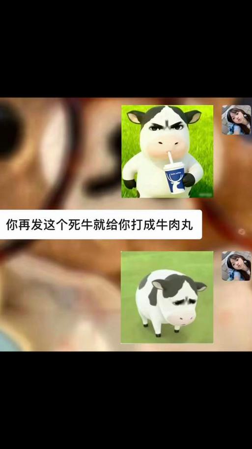 表情包出处查询