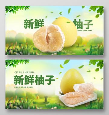 沙田柚的广告语图标