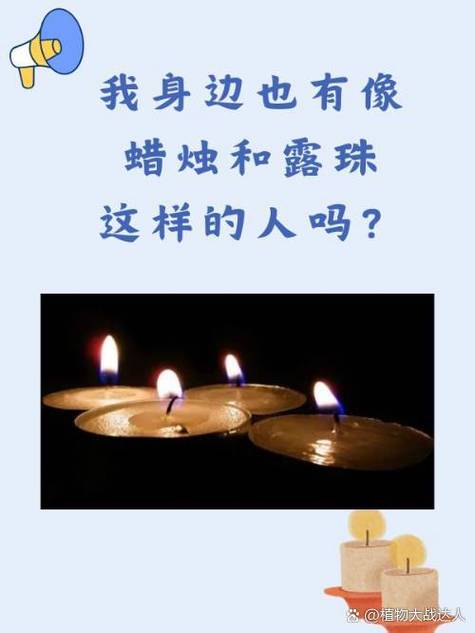 蜡烛比喻什么人图标