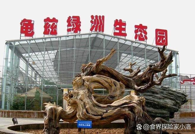 绿洲生态图标