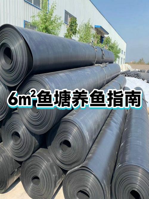 一块鱼塘对吗正确的吗截图