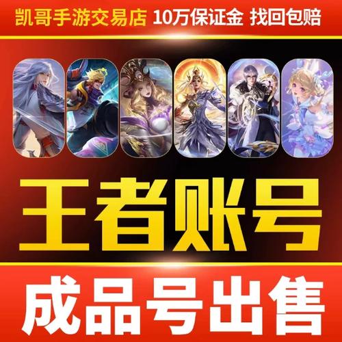 王者荣耀V10共享次数截图