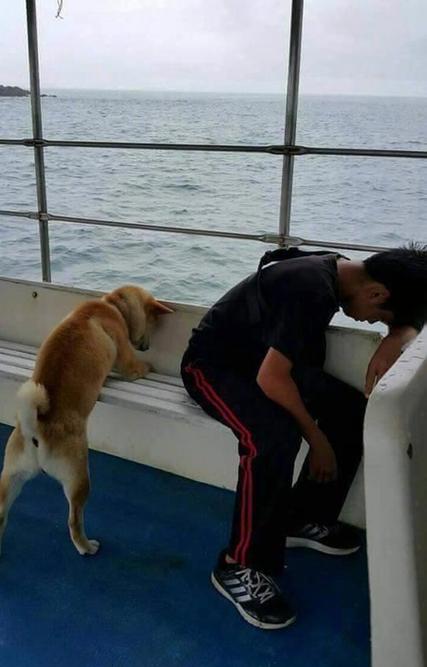 晕船是什么意思图标
