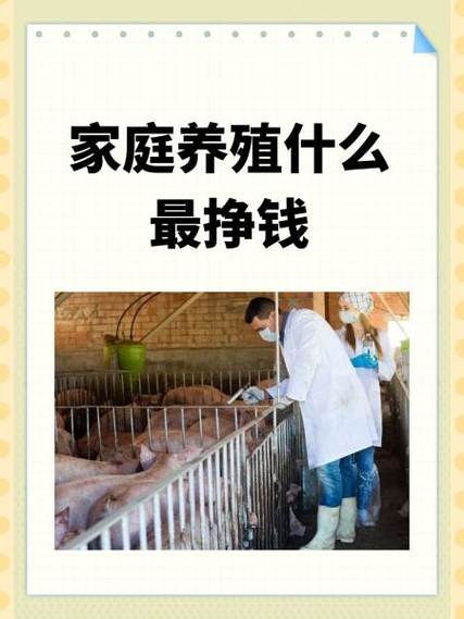 家庭繁殖什么最挣钱图标