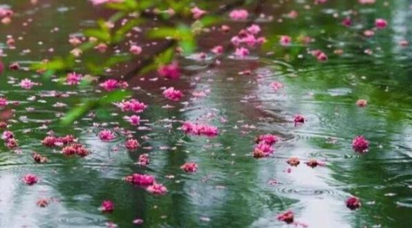 疏雨截图