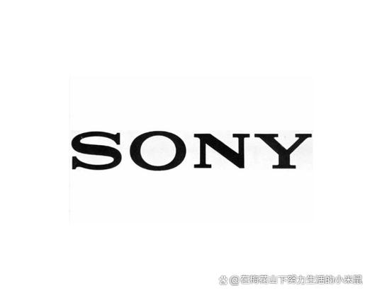 sony中国官网首页图标