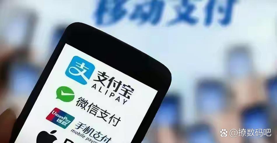 中国移动支付截图