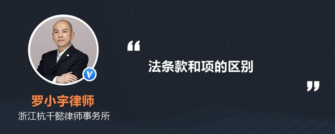 项和款的区别图标