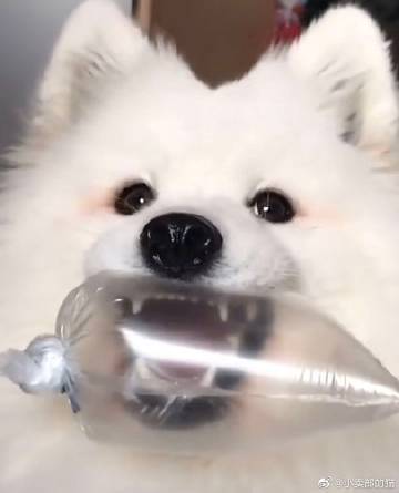 财神猫小卖铺领红包图标