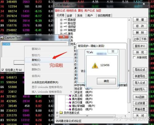 同花顺改密码图标