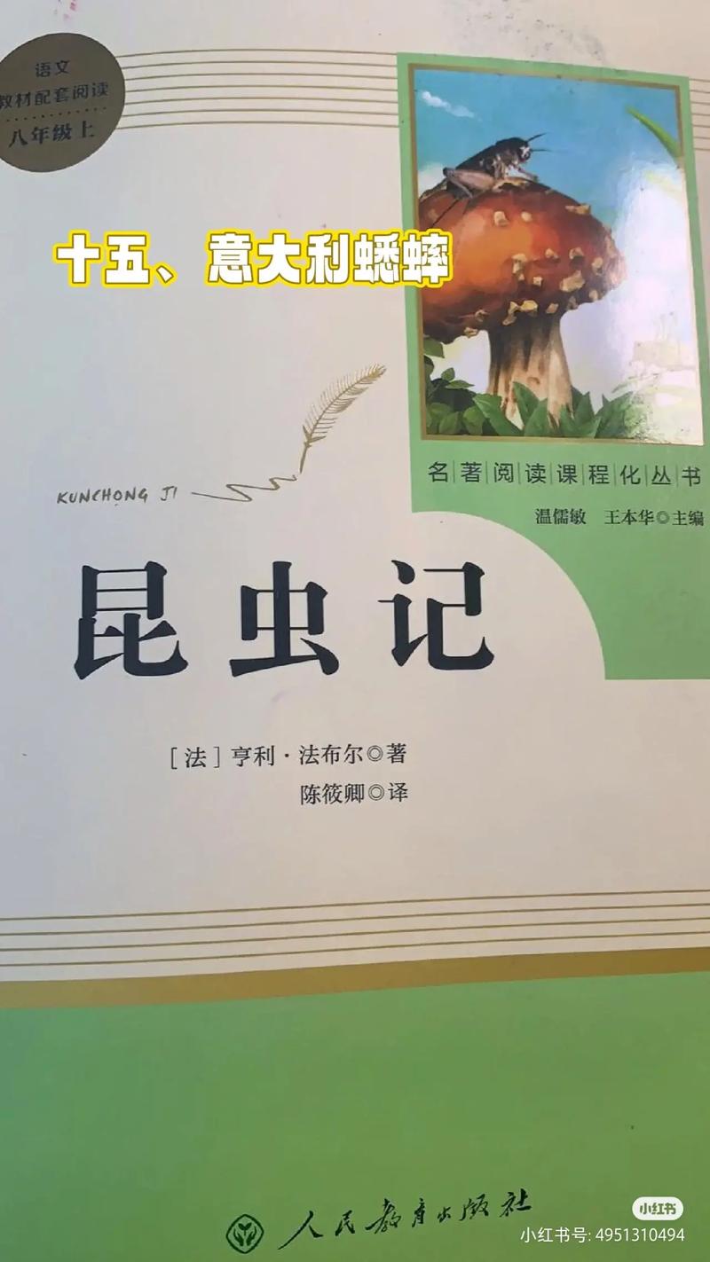蛐蛐王叫声 播放图标