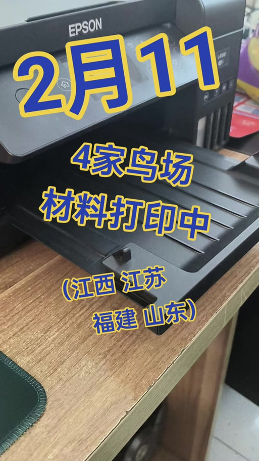 小黄鸟怎么安装证书图标