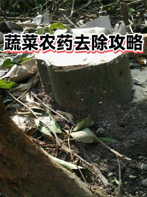 蔬菜去农药最好方法图标