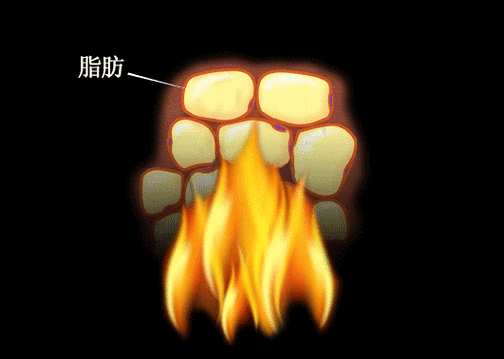 消耗脂肪需要什么条件