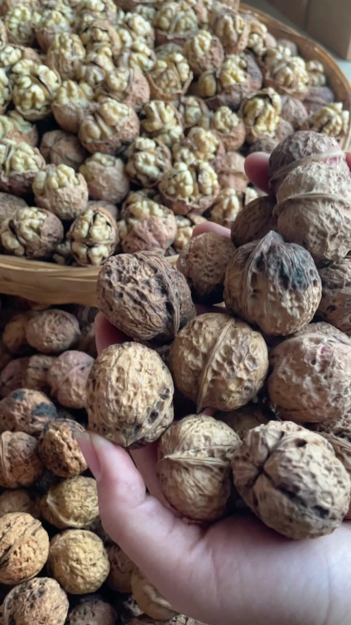 核桃排名第一名图标