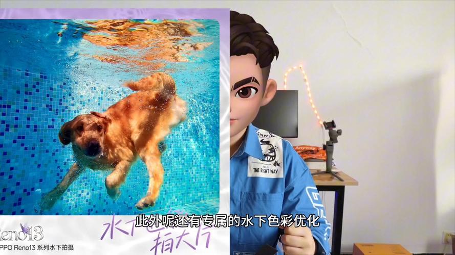 支持水下拍摄的手机图标
