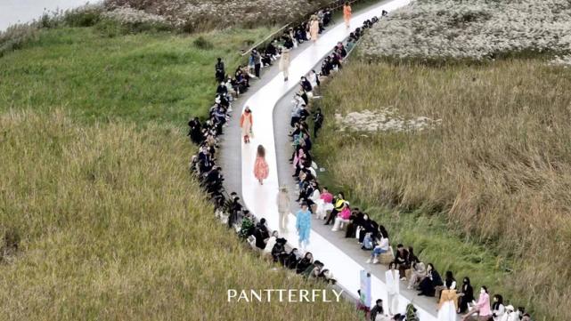 pantterfly什么品牌图标