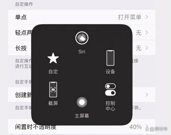 苹果悬浮球里面的功能怎么换图标