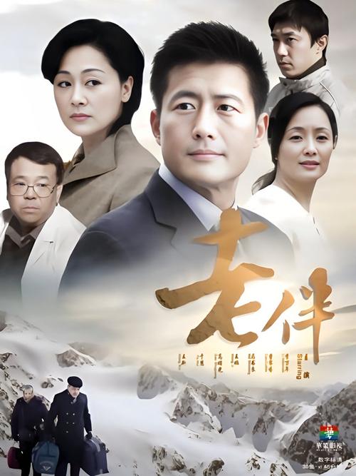老伴电视剧演员表