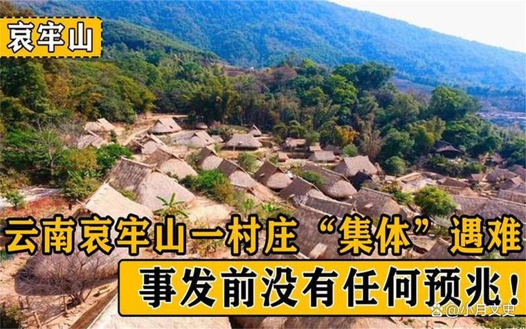哀牢山749局真实录像图标