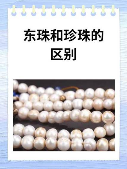 85珠与9珠哪个穿透力强图标