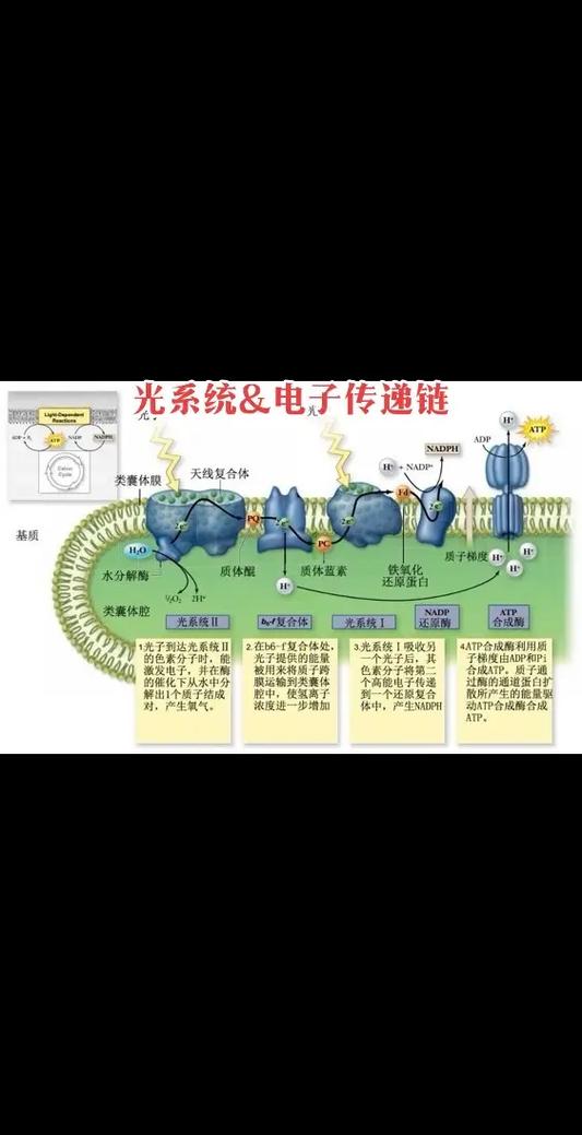 光能不能传递能量图标