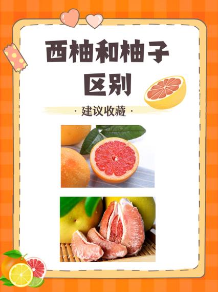 柚子谐音的英文名截图