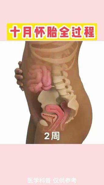 一个人生宝宝视频