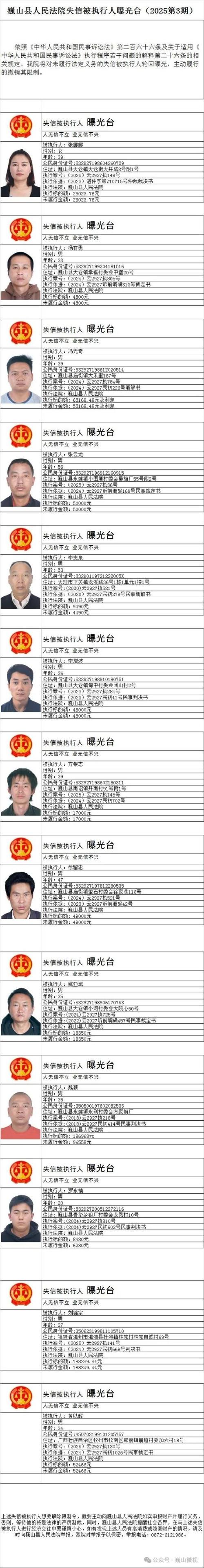 中国被执行人信息查询图标