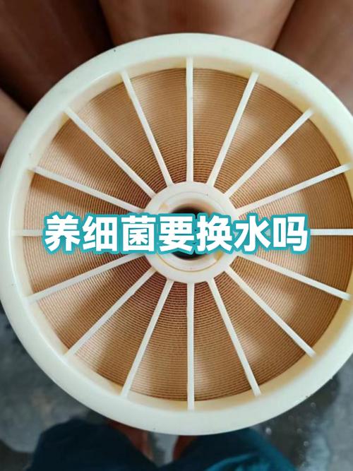 水90度能杀死细菌吗图标