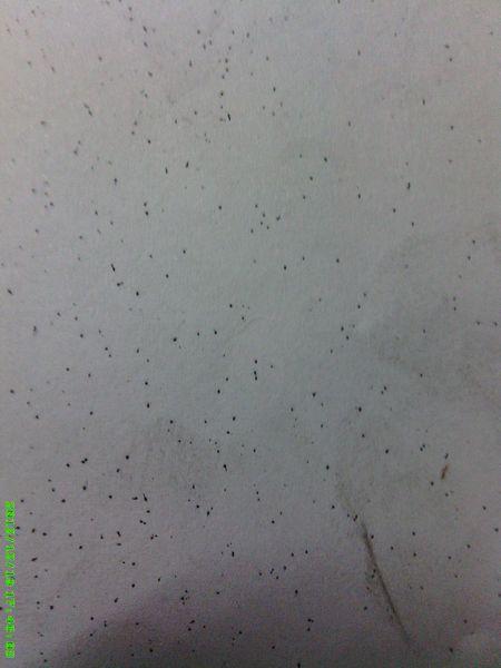 激光打印机打出来有黑点
