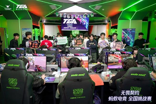 电脑打lol掉帧严重截图