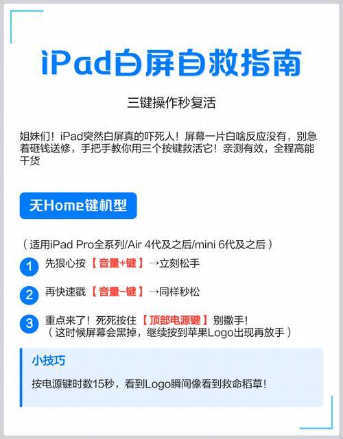 ipadmini2白屏解决方法图标
