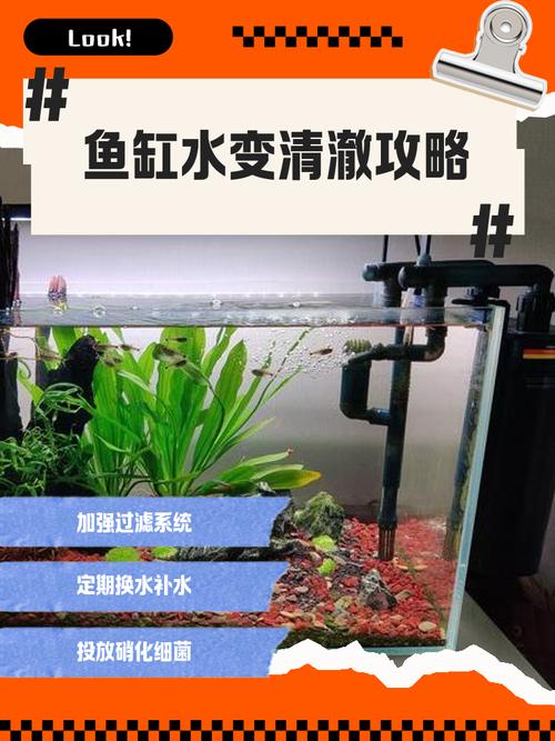 鱼缸水不透亮怎么解决图标