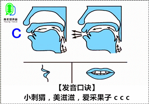 c发音图标