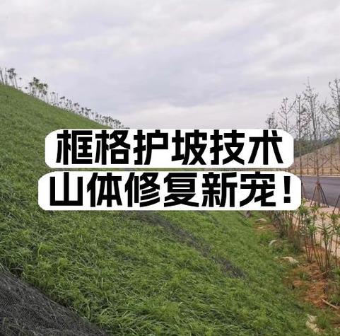 oppo手机一直有个绿色框框图标