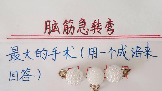 最大的手术(打一成语)图标